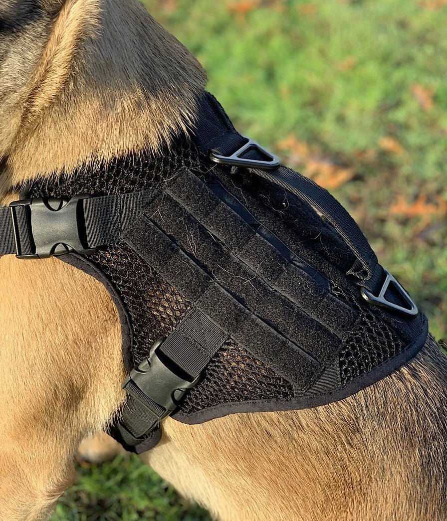 Full Body Tactical K9 Dog Harnesses and Accessories — 221B Tactical